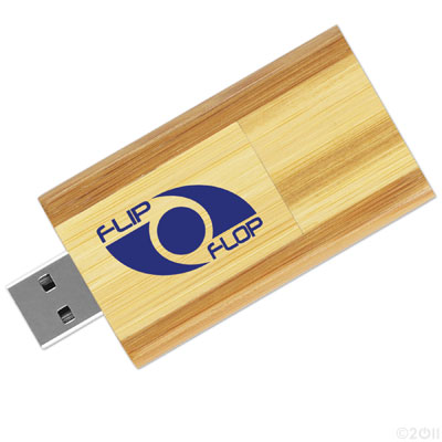USB Flash Drives